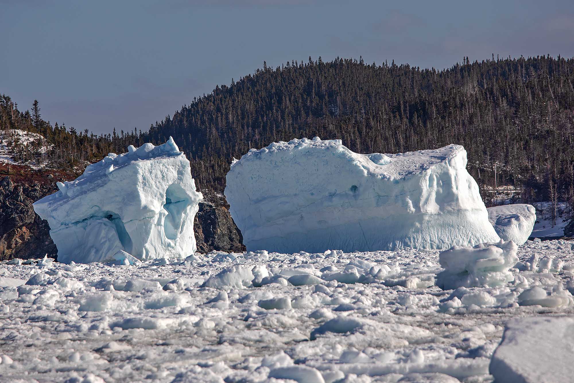 Iceberg SEAson 2026 - Live Iceberg Feed - Twillingate Island